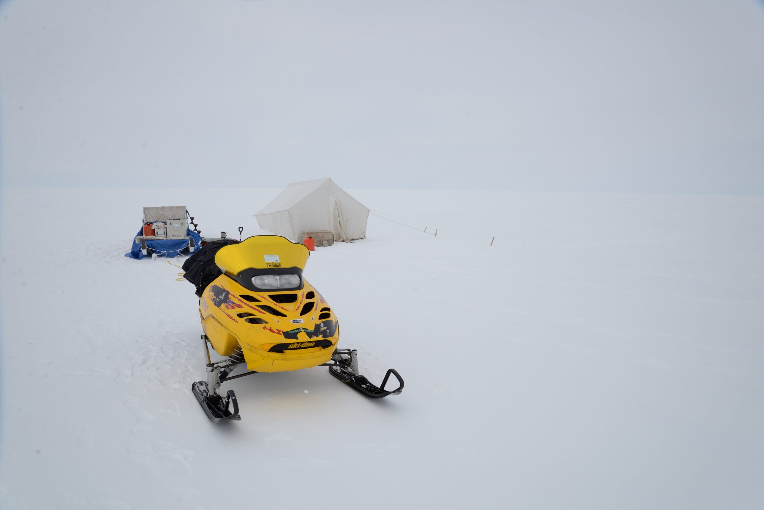 Arctic Gallery – Eric Solomon Photography